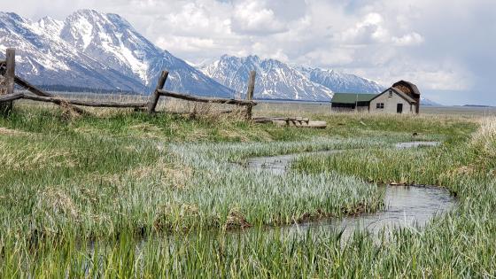 A bench overlooking the Mount Moran - backiee