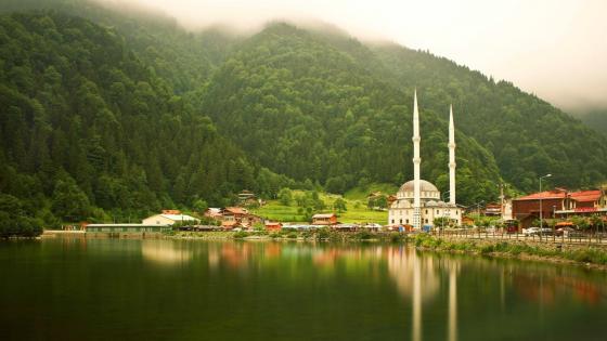 Trabzon, Turkey - backiee