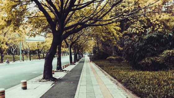 Sidewalk wallpapers - backiee