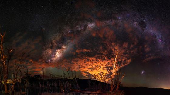 X wallpapers - backiee