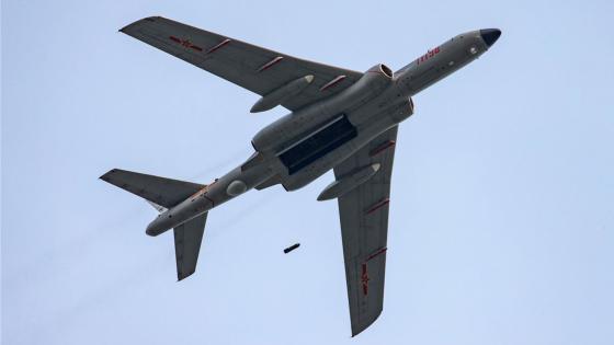 Plaaf wallpapers - backiee