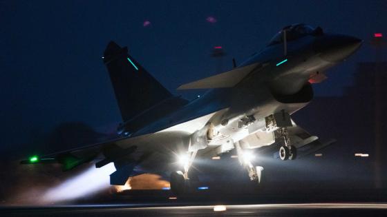 Plaaf wallpapers - backiee