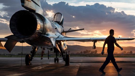 Plaaf wallpapers - backiee