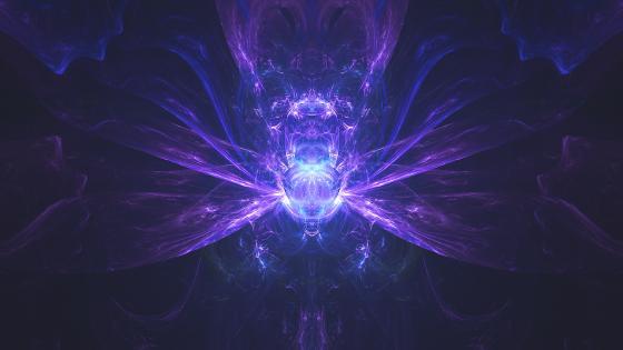 Dragonfly wallpapers - backiee