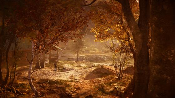 Forest wallpapers - backiee