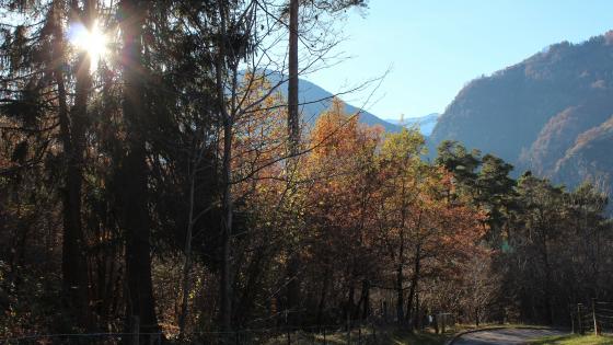 Biasca wallpapers - backiee