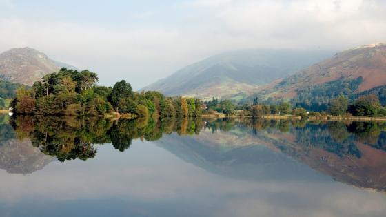 Ref wallpapers - backiee