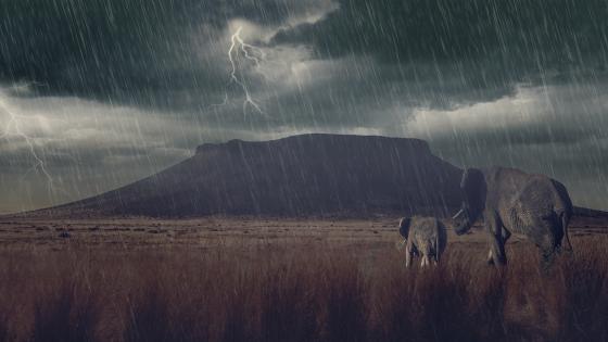 Rain wallpapers - backiee