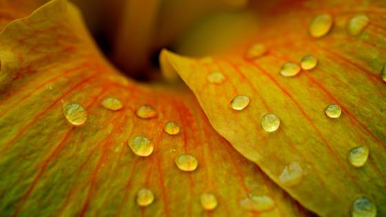 8k wallpapers - backiee