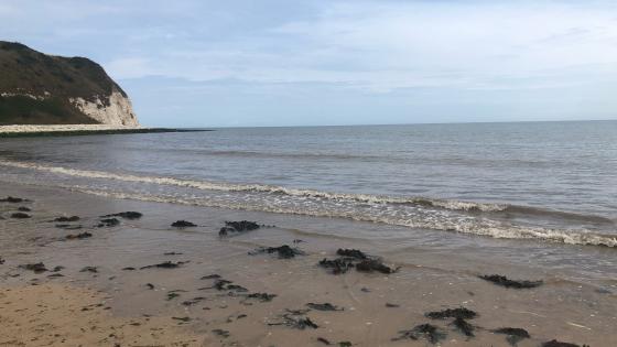 4k wallpapers - backiee