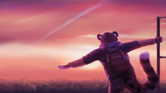 Furry wallpapers - backiee
