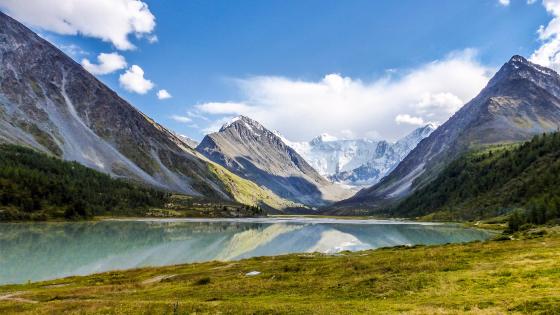 Belukha wallpapers - backiee