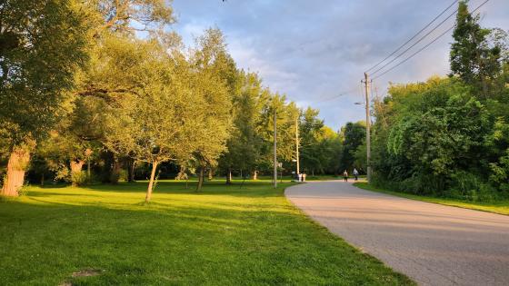 Green Path - backiee