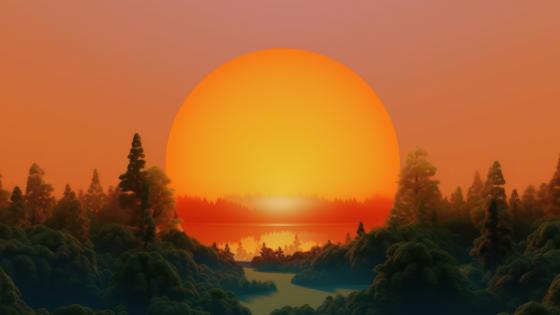 Amber Sunset Over Tranquil Forest - backiee