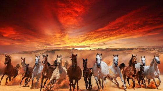 Mustang wallpapers - backiee