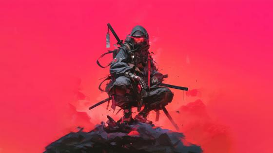 Ninja wallpapers - backiee