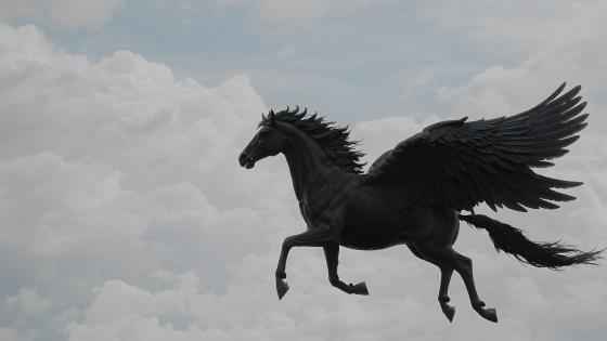 Black Flying Pegasus