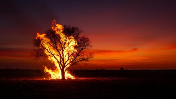 Burning wallpapers - backiee