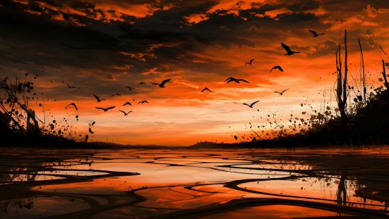 Celestial Meadow - backiee