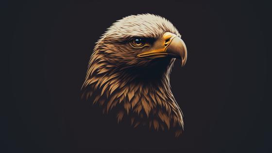 Eagle wallpapers - backiee