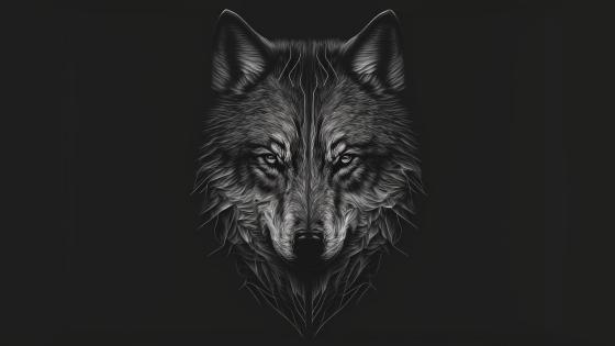 Wolf wallpapers - backiee