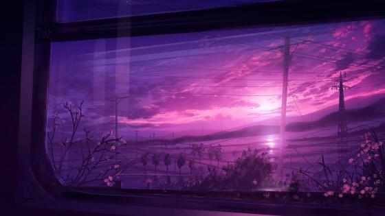 Purple Sunset Through Train Window - backiee