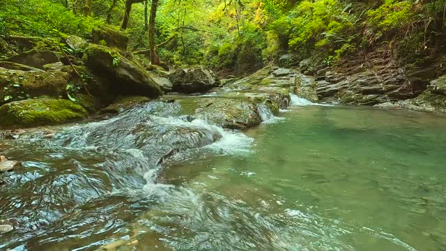 Live wallpapers - backiee