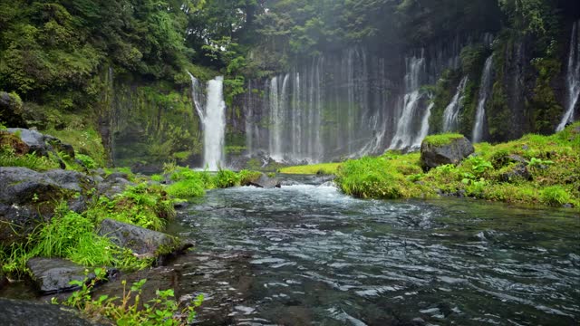 Live wallpapers - backiee