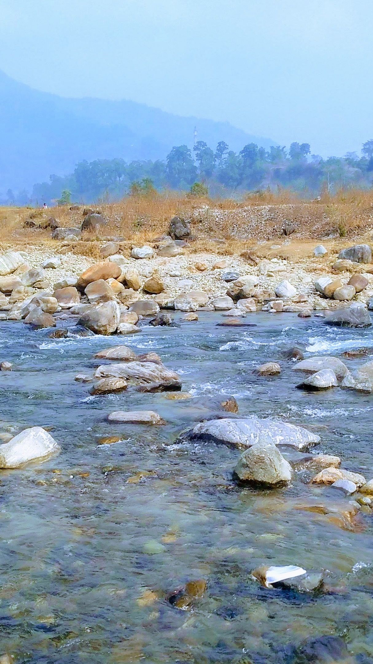 Wallpaper from nature category - backiee