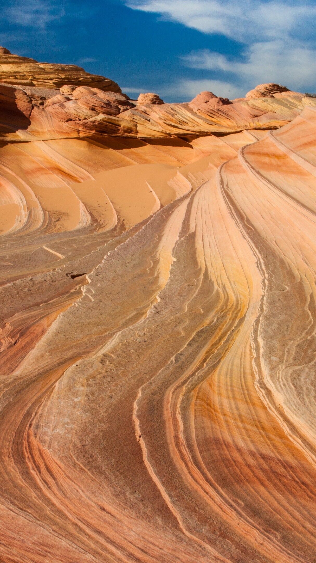 The Wave Stunning Geological Formation in Arizona Desert - backiee