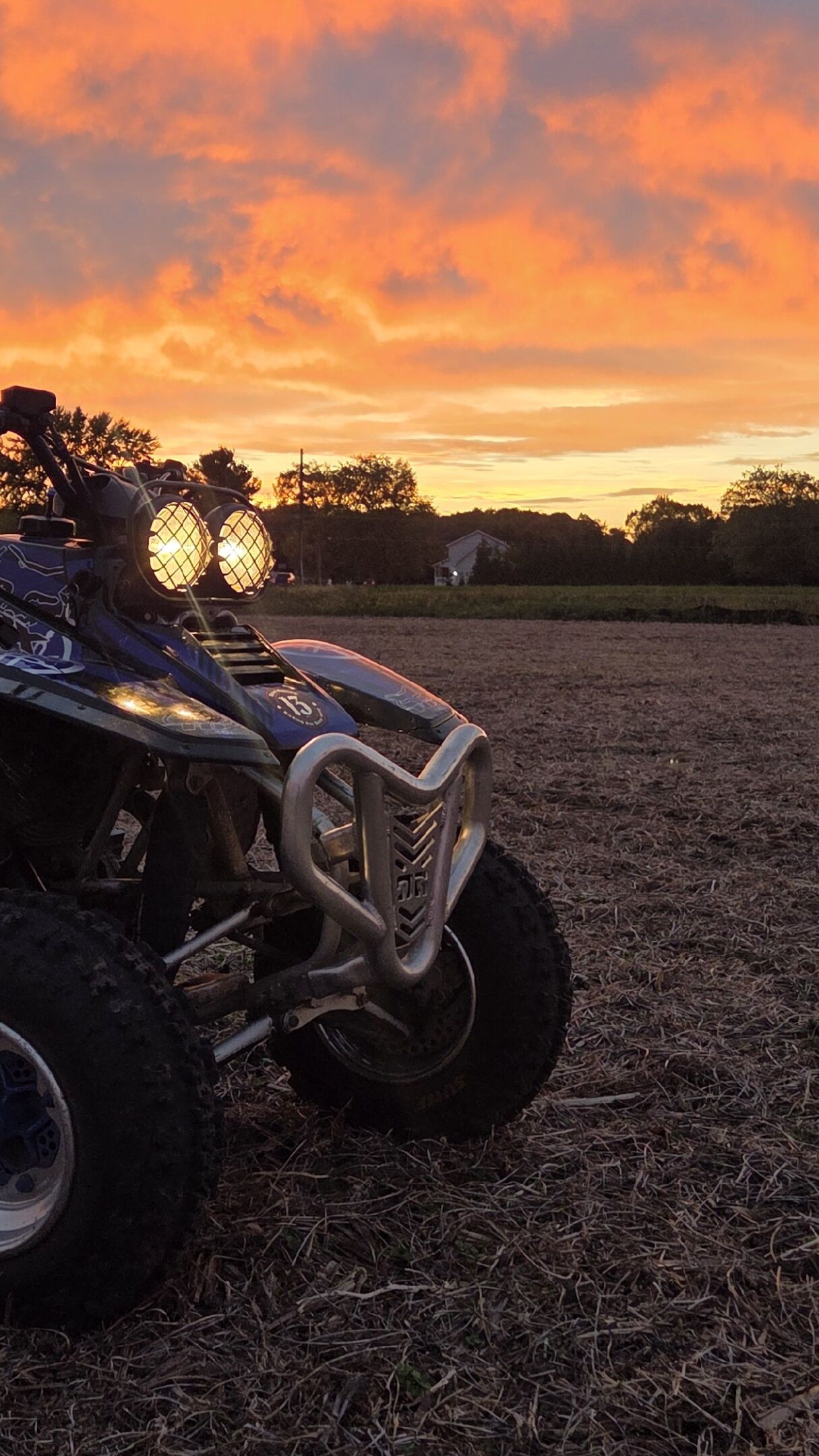 Quad Adventure at Sunset - backiee