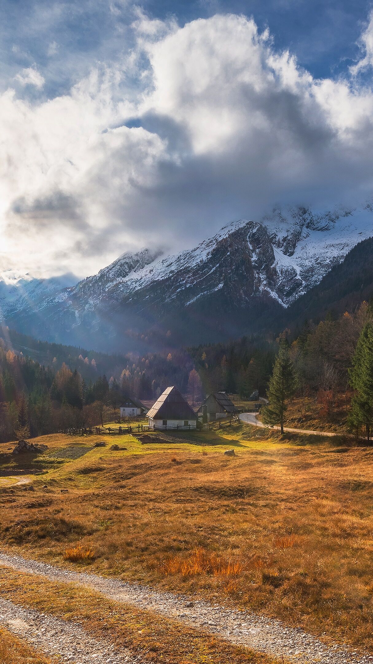 Sunlit Valley Serenity with Majestic Mountains and Lush Forest - backiee