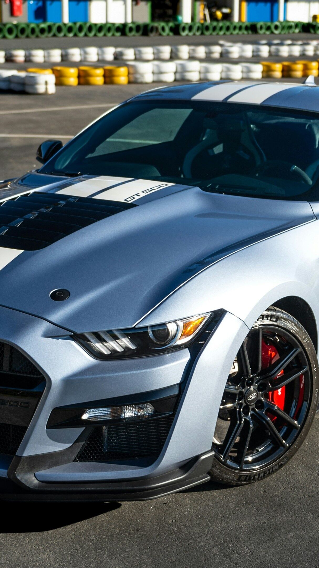 Sleek Silver Mustang on the Track - backiee