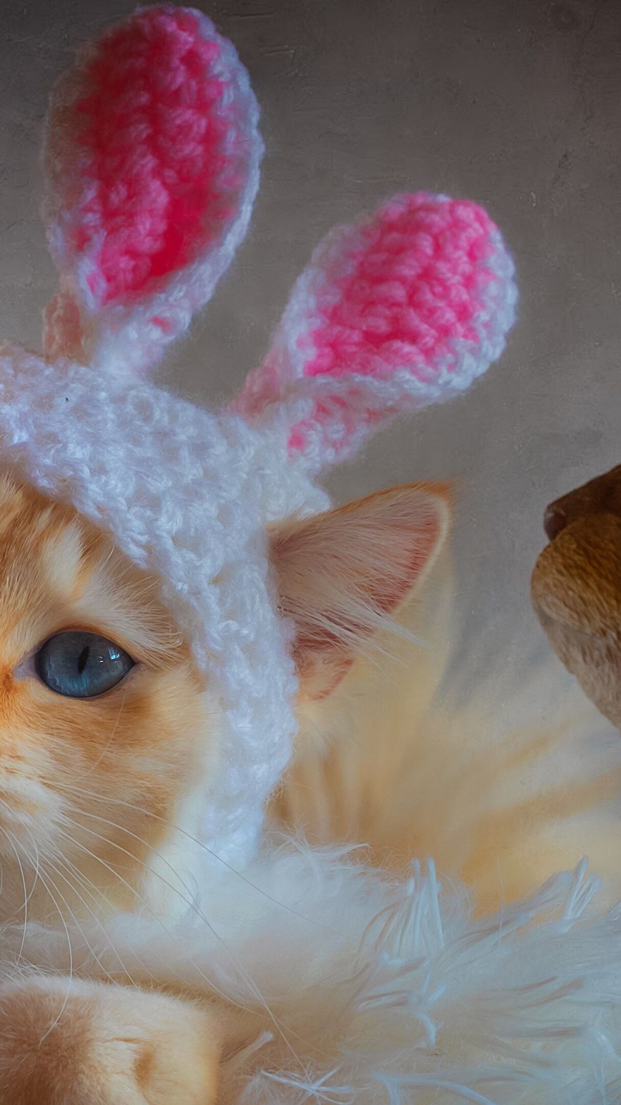 Funny Feline Easter Bunny Adventure - backiee