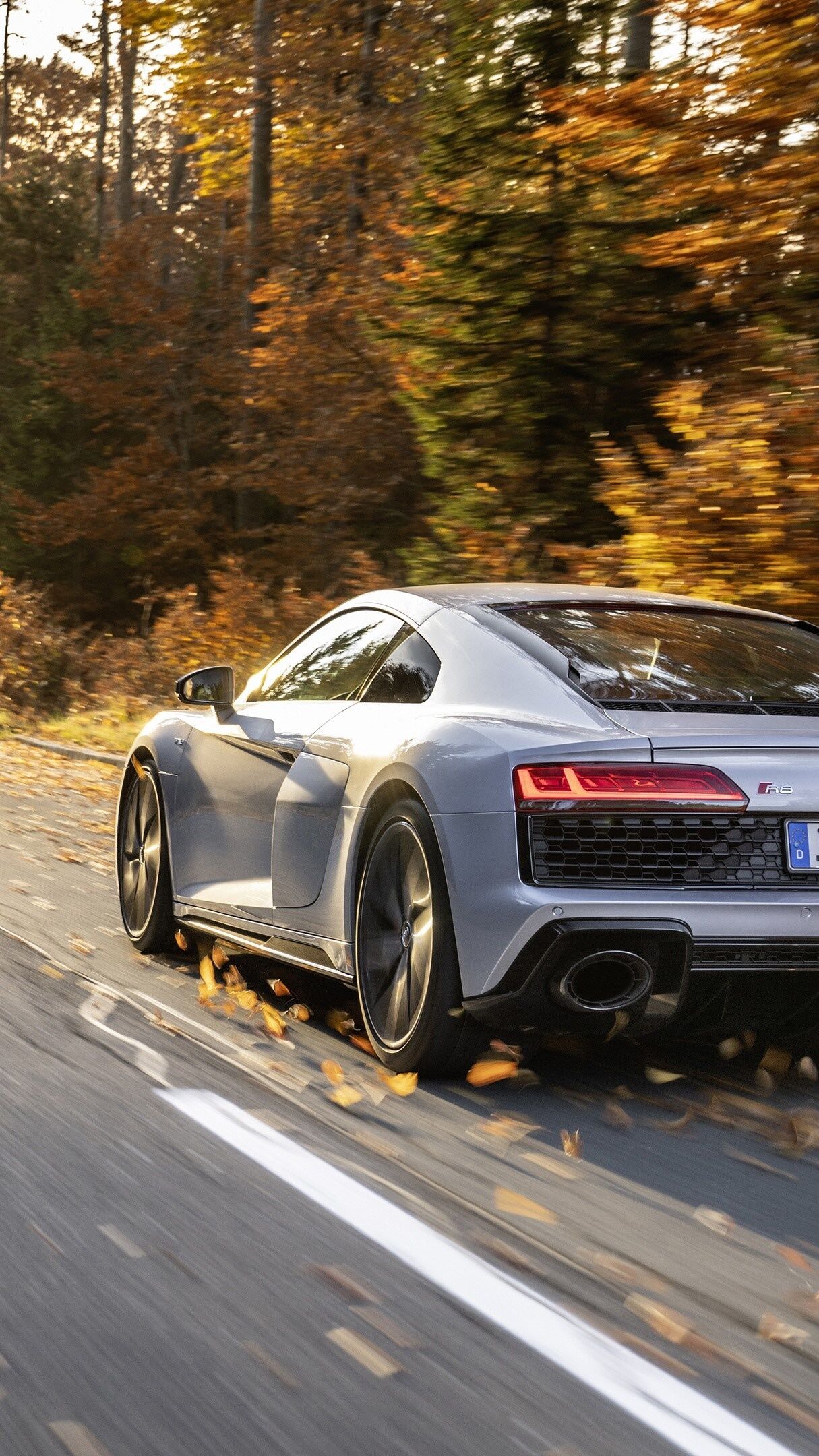 Sleek Audi R8 in Autumn Roadscape - backiee