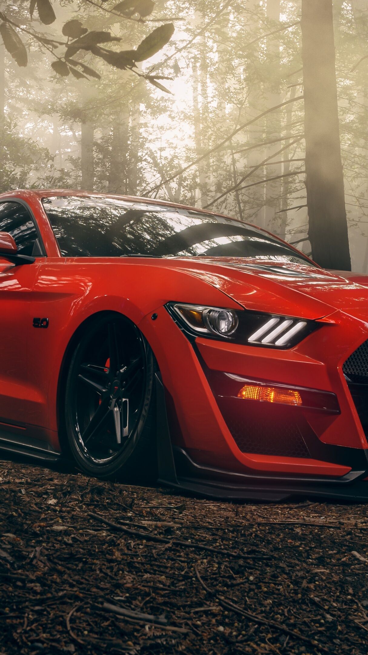 Stunning Red Mustang in a Mystical Forest Scene - backiee