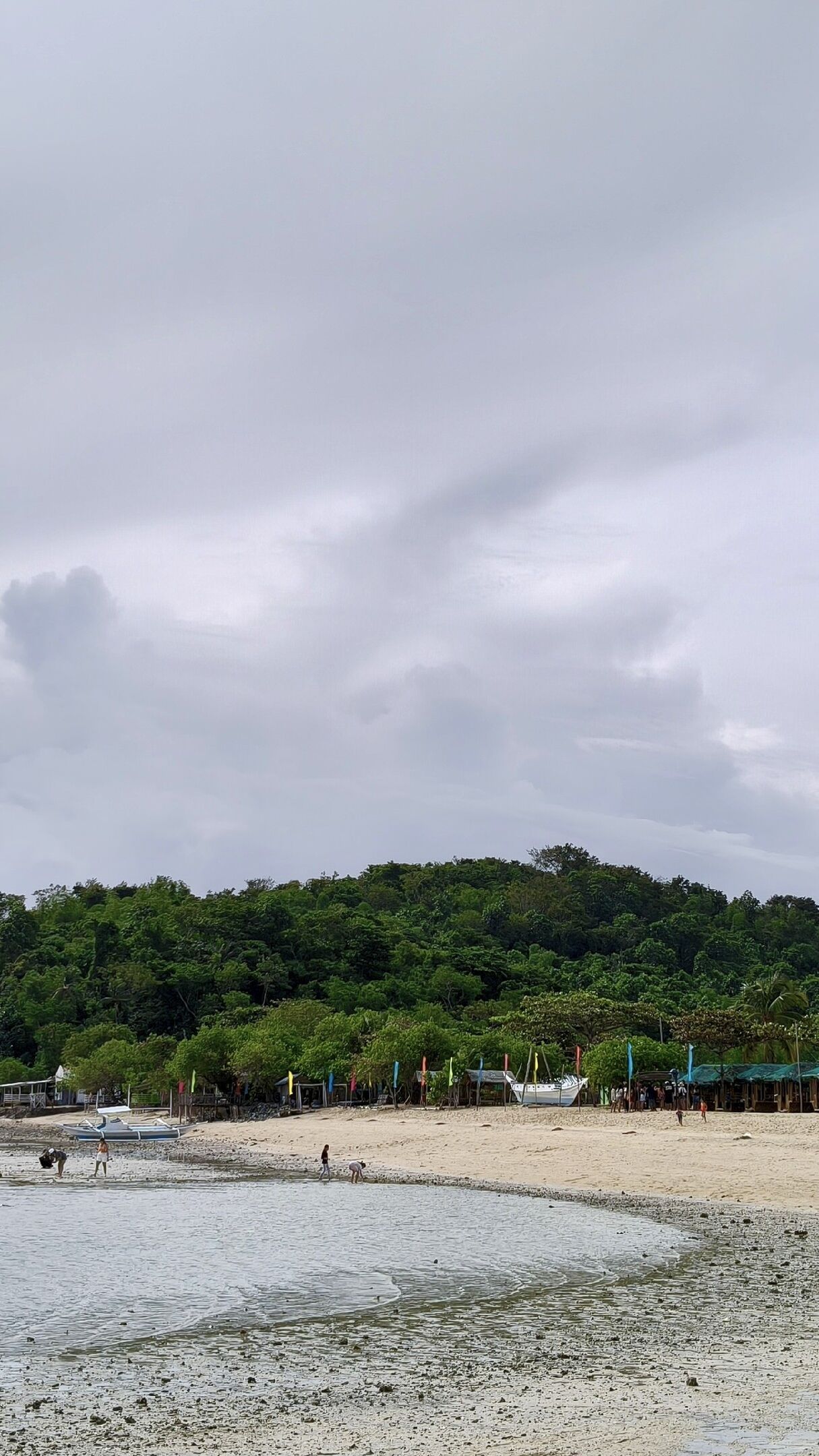 Wallpaper from nature category - backiee