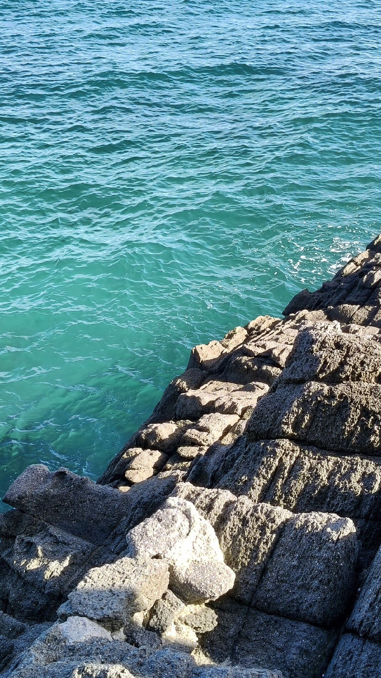Rocky Beach Side - backiee