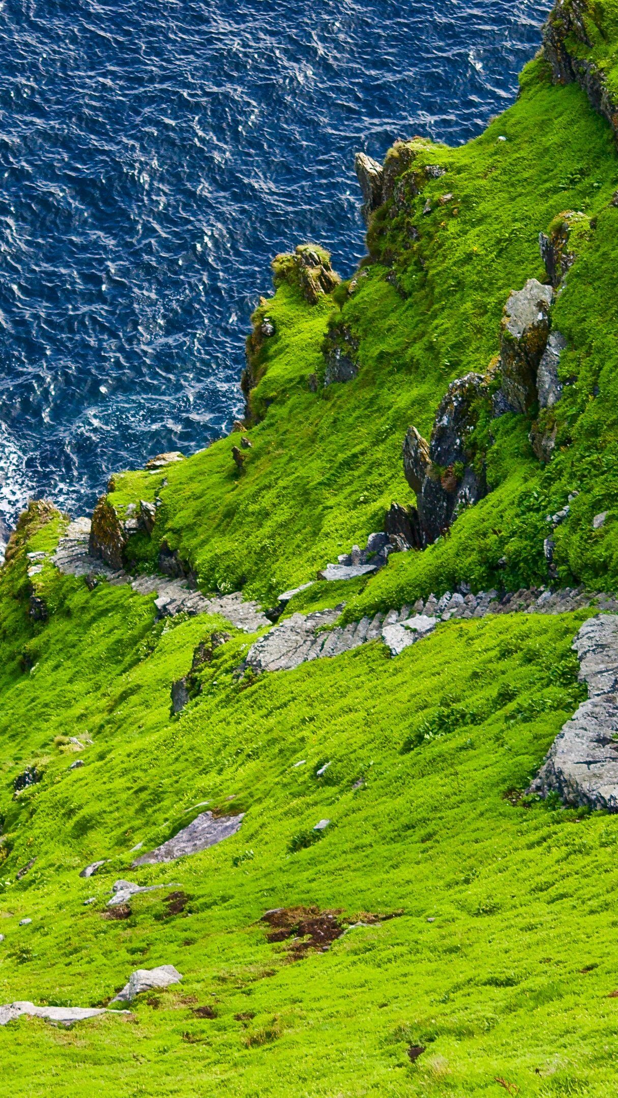 Emerald Cliffs Above the Atlantic at Great Skellig Ireland - backiee