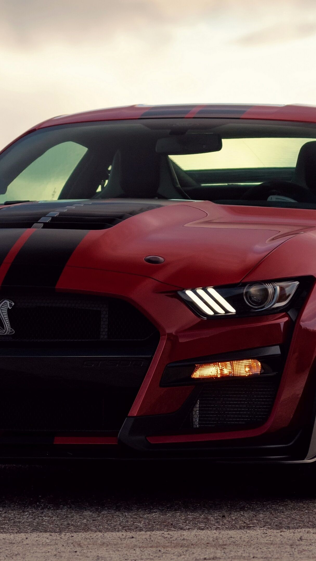 Red Ford Shelby GT500 at Sunset in 4K Detail - backiee