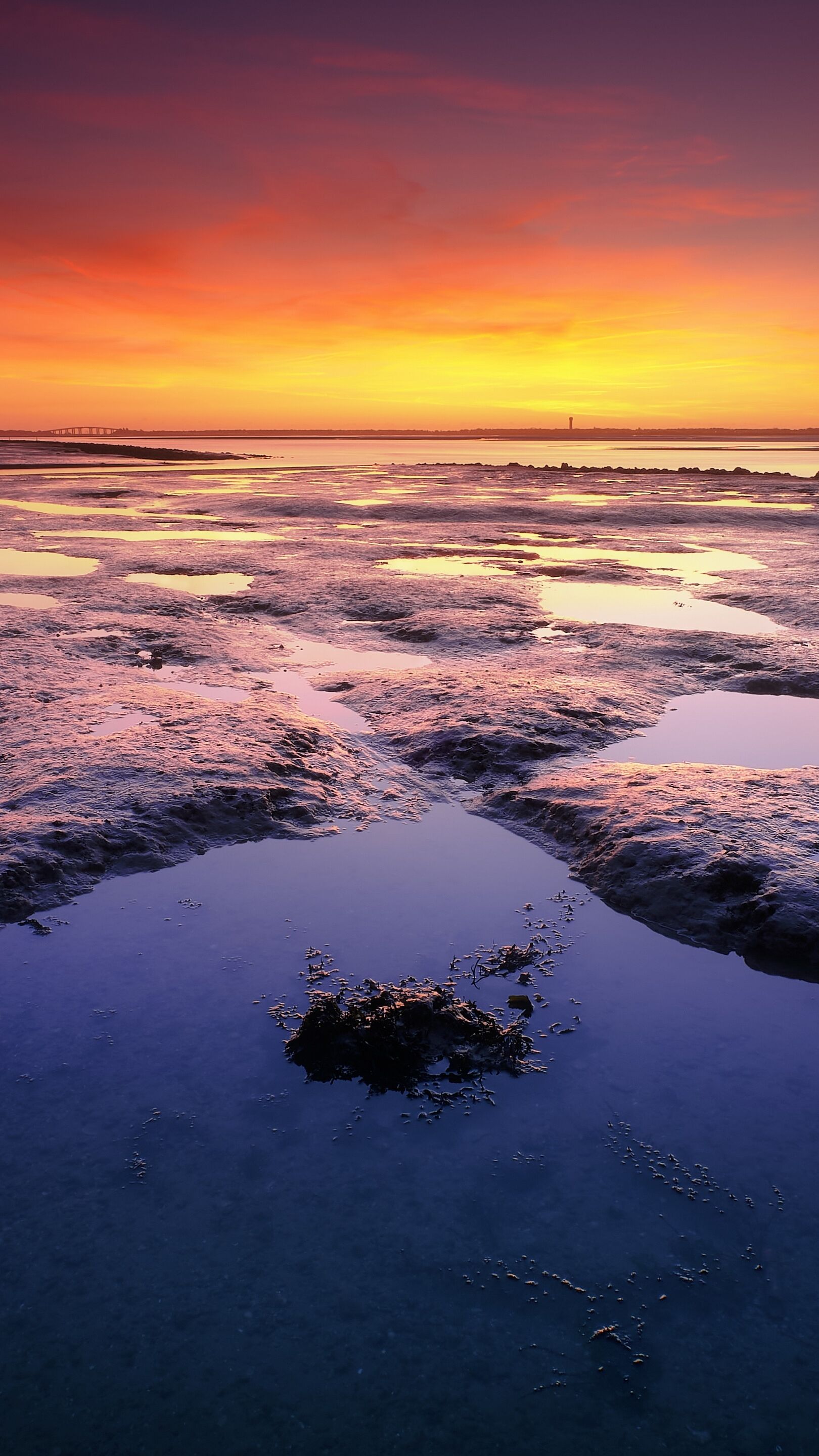 Sunset Panorama over Tranquil Tidal Flats at Dusk - backiee