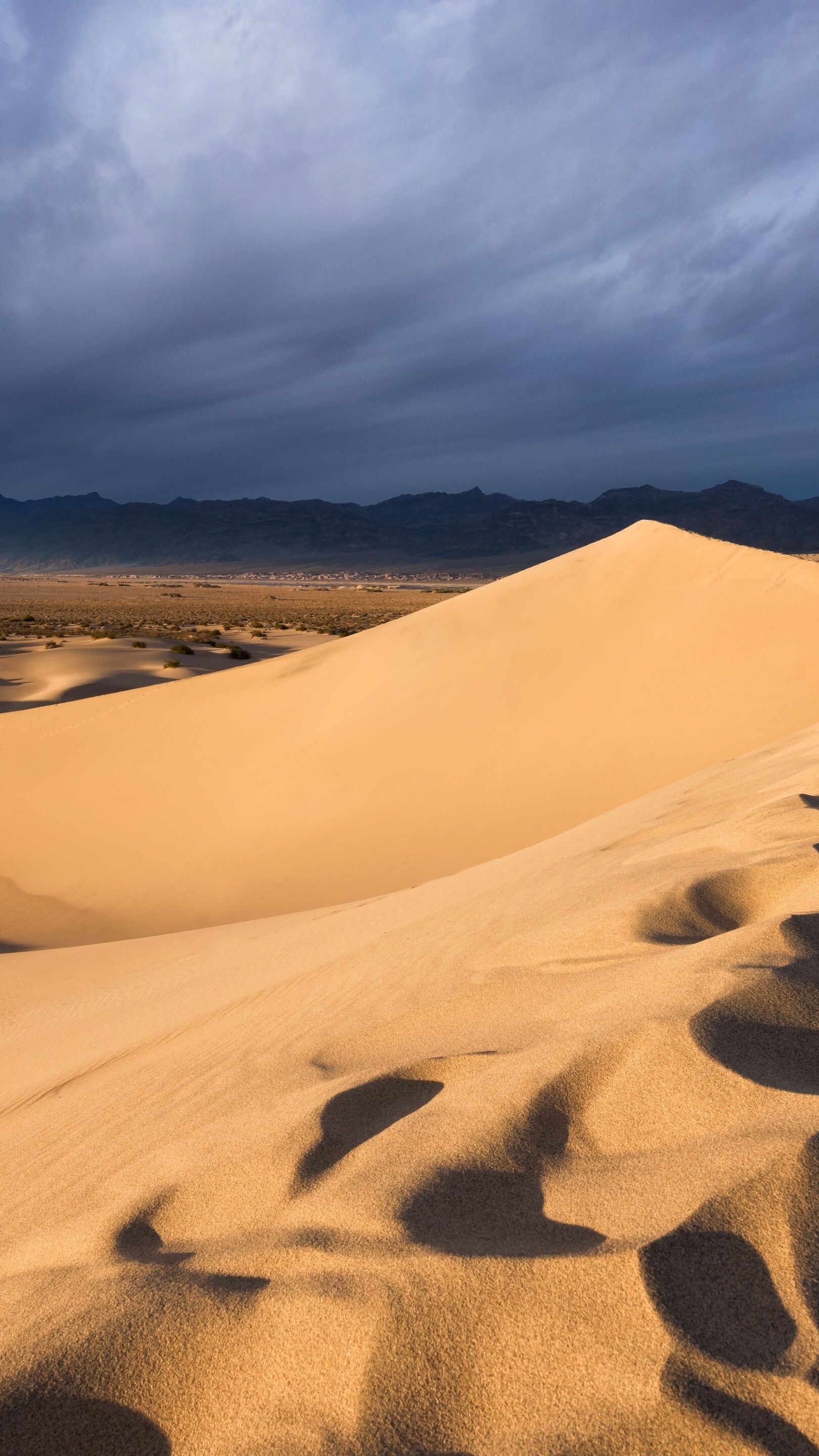 Golden Waves of the Sahara Desert - backiee