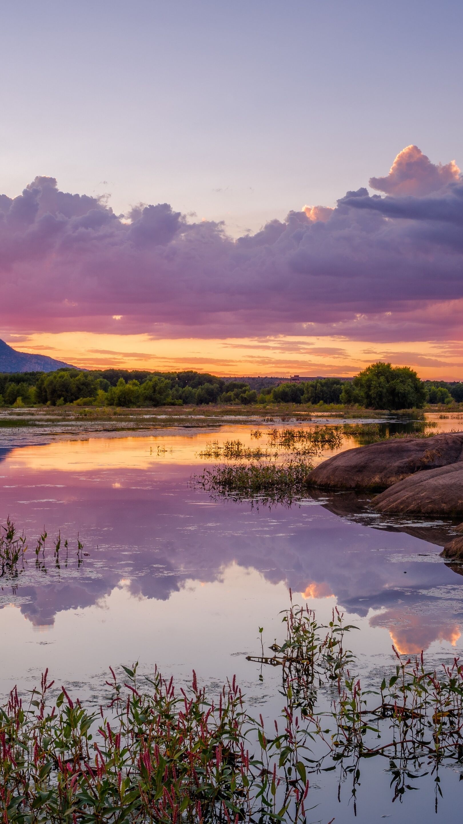 Sunset Serenity by the Tranquil Lake - backiee