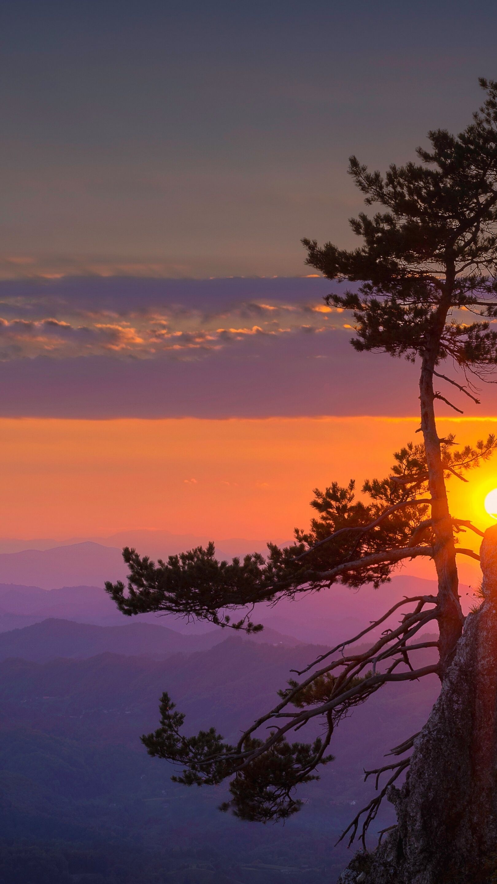 Sunset Serenade Over Majestic Wilderness - backiee