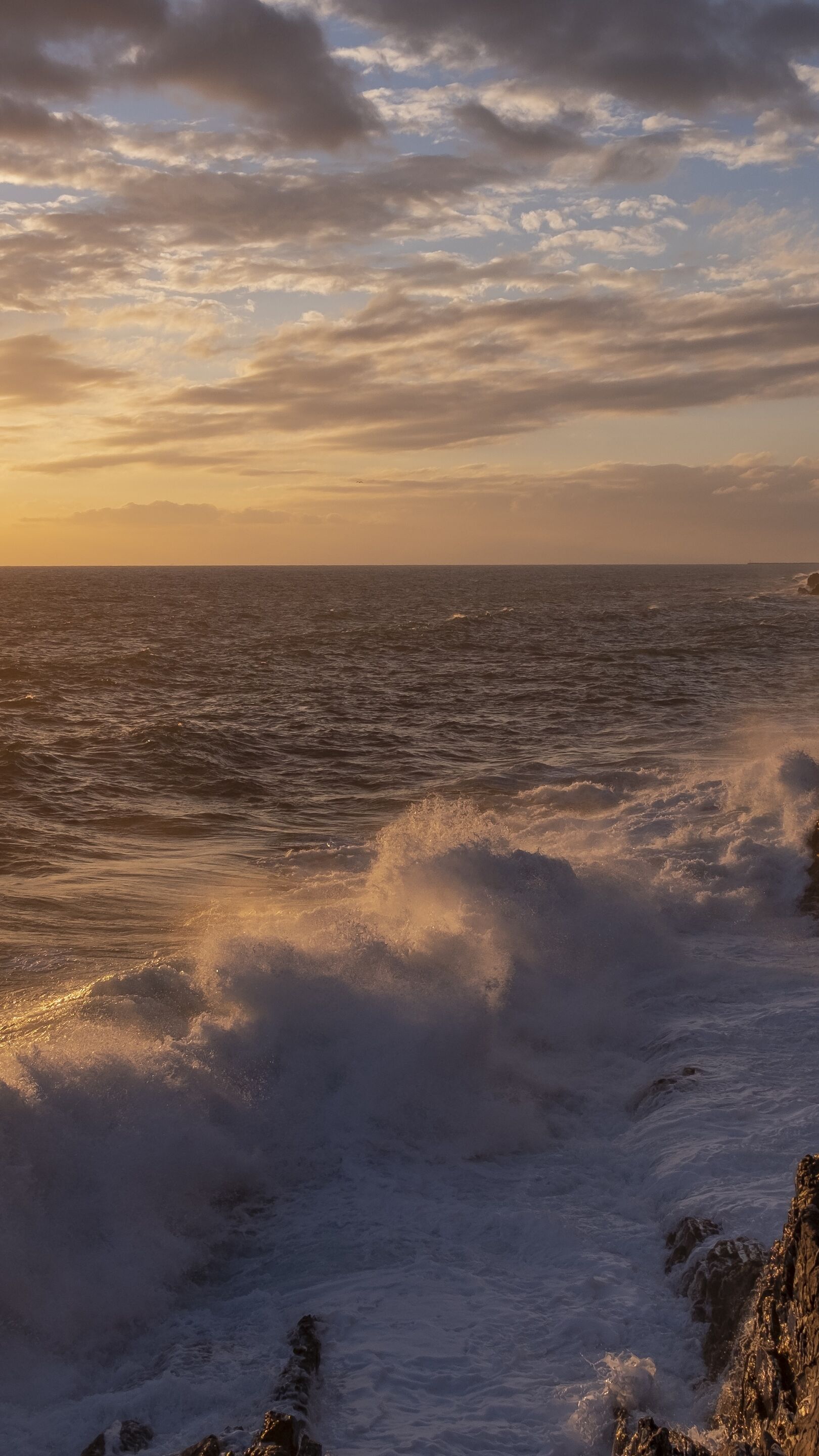 Golden Sunset over Rocky Coastal Waves - backiee