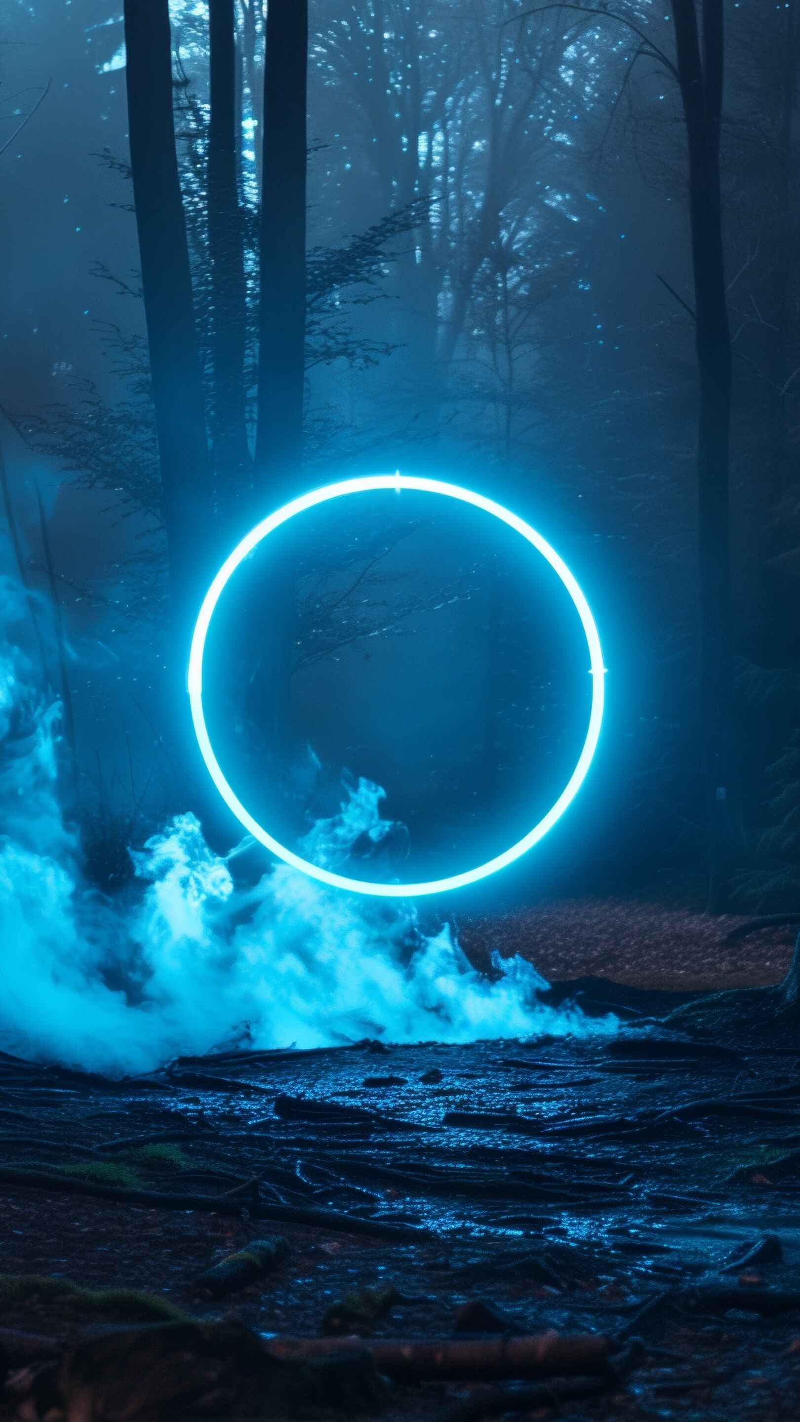 Mysterious Neon Circle in Twilight Forest - backiee