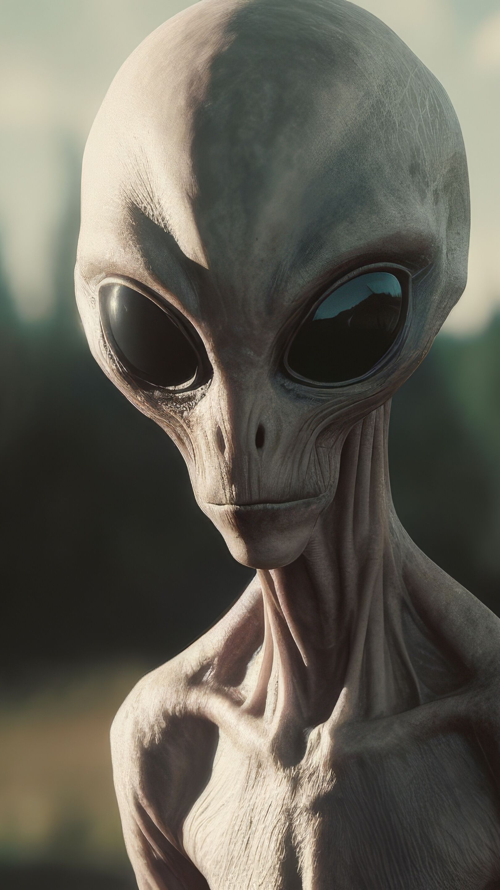 Alien Encounter in Mystical Forest - backiee