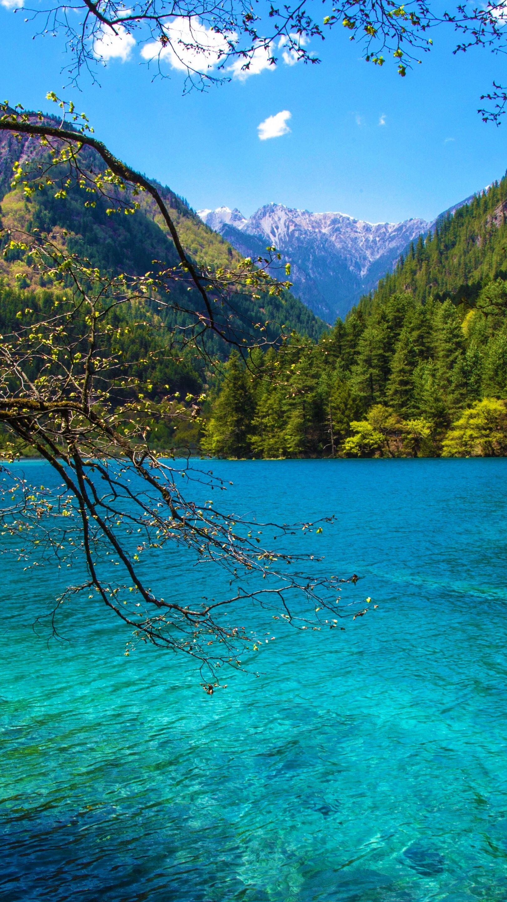 Jiuzhaigou's Enchanting Turquoise Lake - backiee