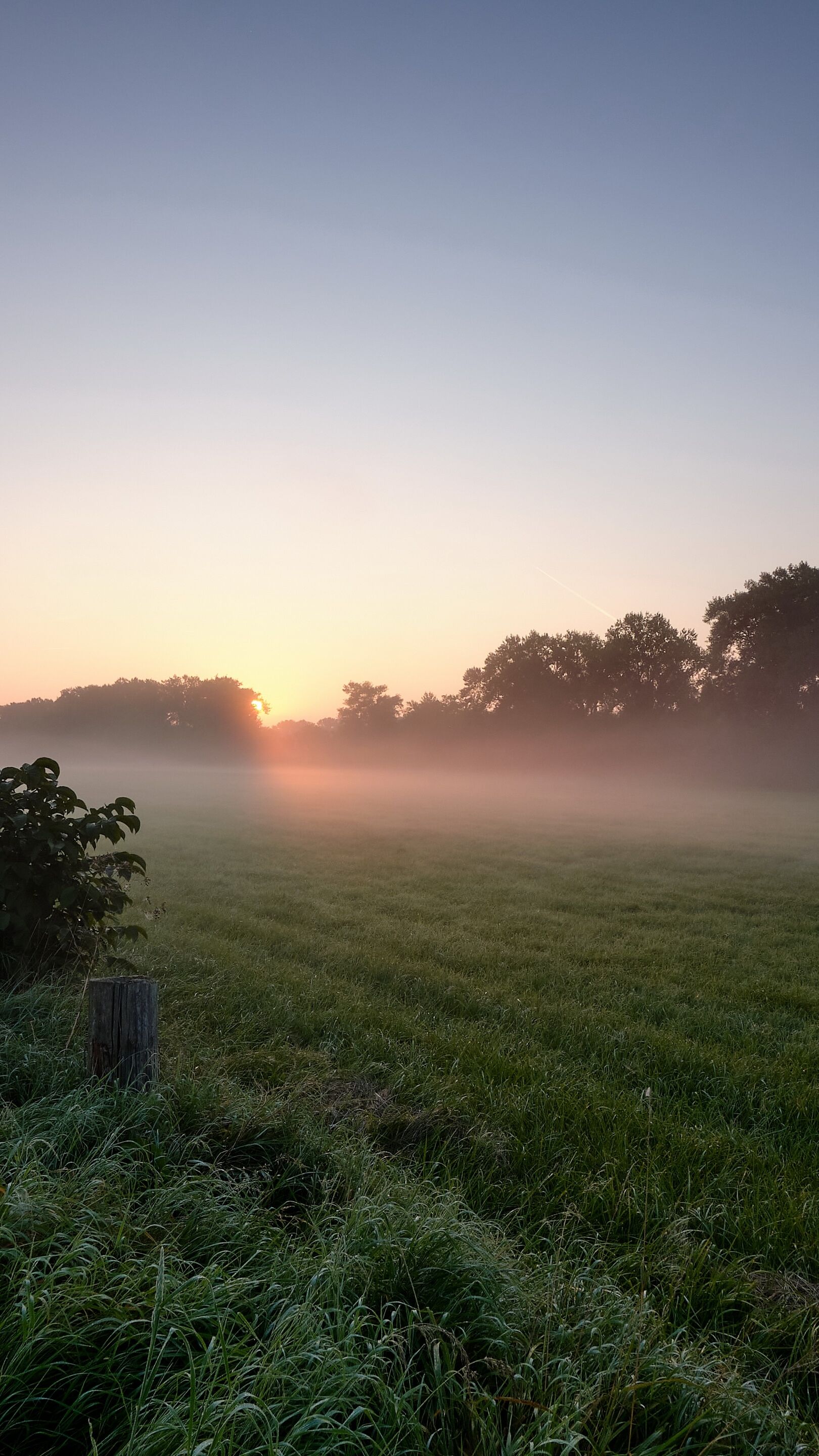 Misty Sunrise Over Nyírlugos Meadow in Hungary 5K Nature Wallpaper - backiee