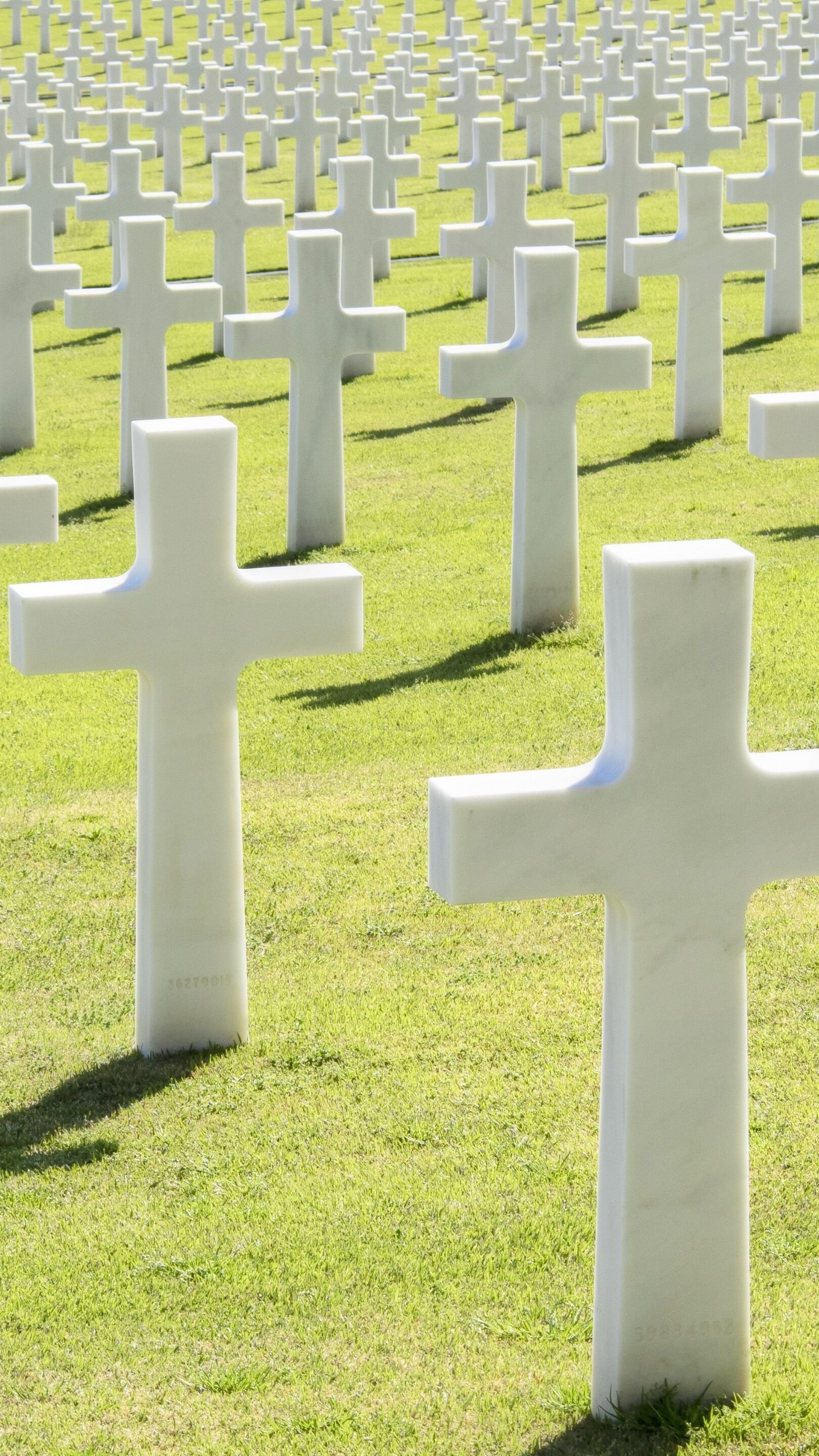Silent Rows of White Crosses in a Sunlit War Cemetery - backiee